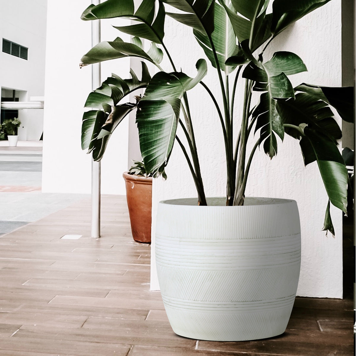 Olly & Rose Extra Large Plant Pot Patterned - Aged Off White Garden Pl
